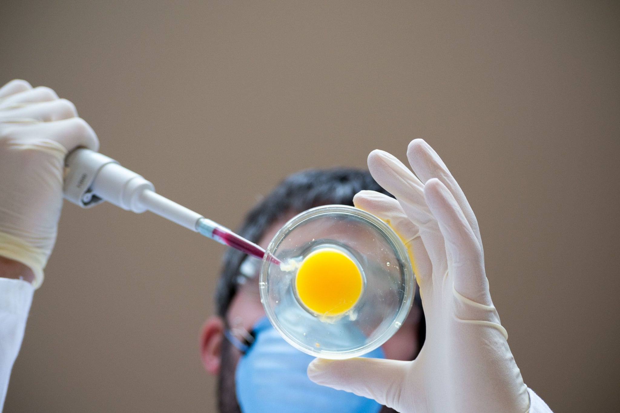 The Lifepharm Egg & Its Surprising Role in Advancing Nutrition